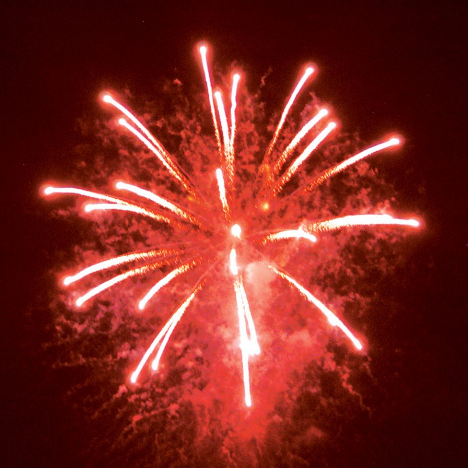 Immortal Single Ignition Firework | Standard Fireworks